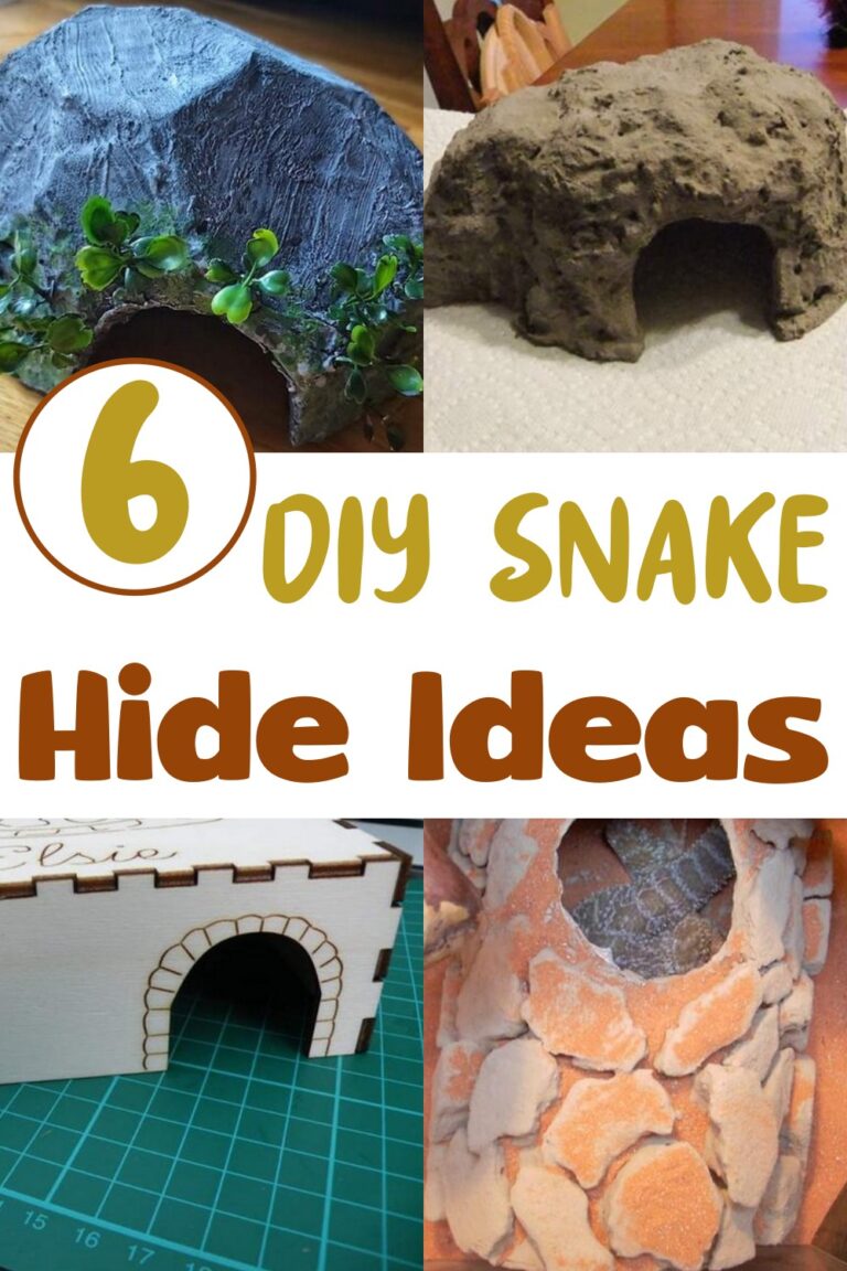 6 DIY Snake Hide Ideas For Slithery Reptiles - The Newlywed
