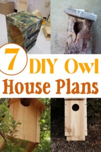 7 Budget Friendly DIY Owl House Plans - The Newlywed