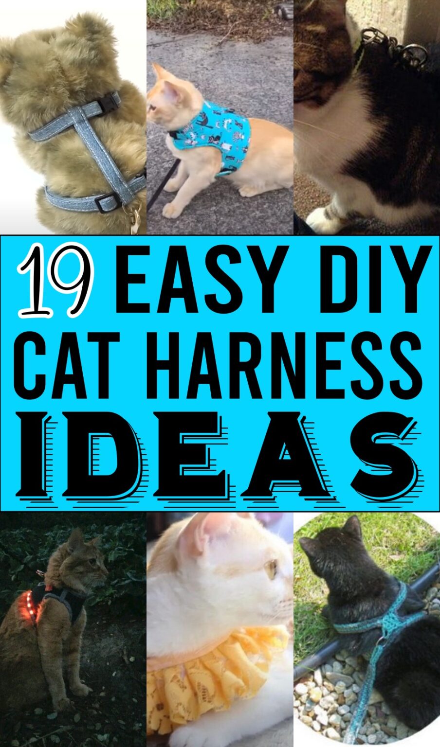 19 DIY Cat Harness Ideas For Kitty Safety + Easy Tutorials