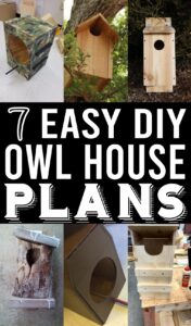 7 Budget Friendly DIY Owl House Plans - The Newlywed