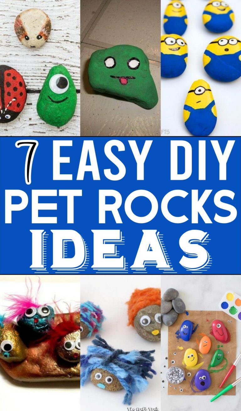 7 DIY Pet Rocks Ideas For Friend-Seeking Kids - The Newlywed