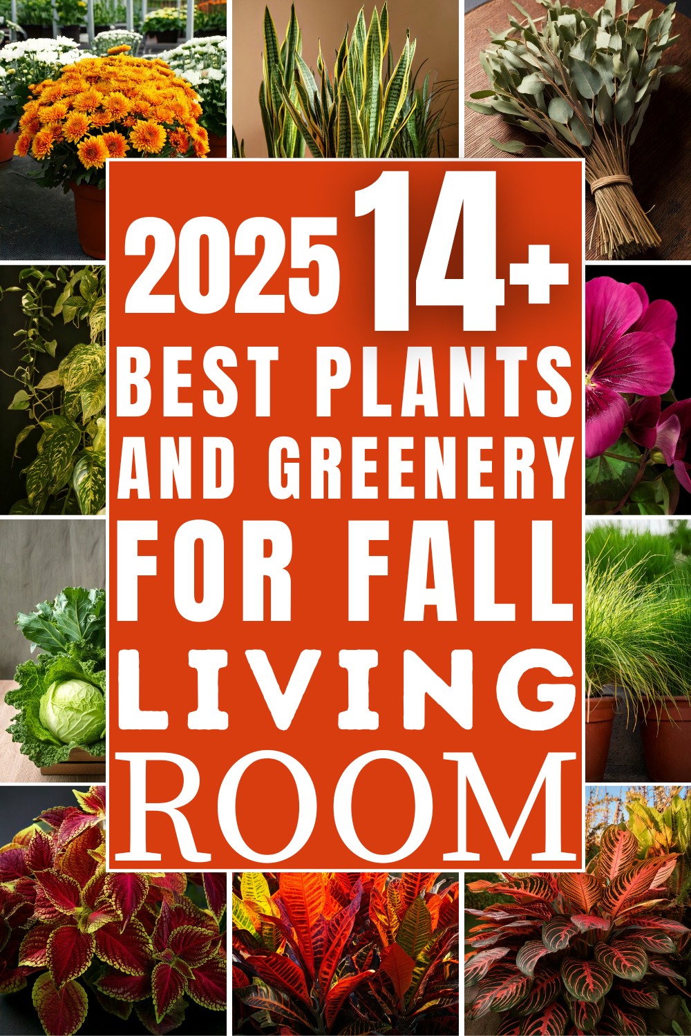15 Best Plants Greenery Ideas For Fall-inspired Living Room - The Newlywed